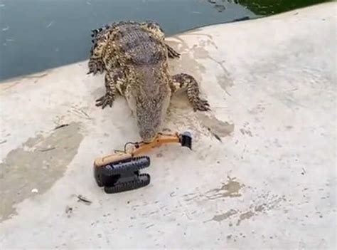 อัลบั้มภาพ ประสิทธิ์ เจียวก๊ก หนีศาลอาญา รัชดา รู้แล้วคนช่วยคือใคร ฟังแล้วอึ้ง เป็นเหยื่อโดนโกง