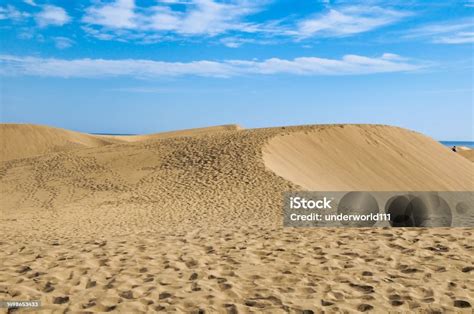 사막의 모래 언덕 사진 디지털 이미지 마스파로마 그란 카나이아 0명에 대한 스톡 사진 및 기타 이미지 0명 Hurricane Sandy 건조 기후 Istock
