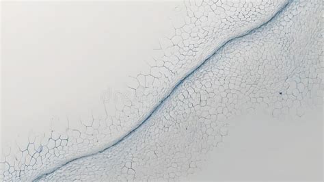 Abstract White Crackle Texture Background Stock Illustration