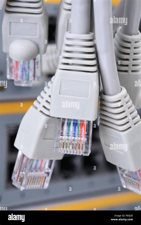 Network Patch Cord Cable RJ45 Connectors Stock Photo Alamy