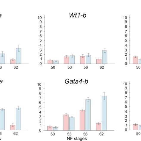 Graphs Of Expression Of Genes Of Female Sex Determination Dm W Wnt4