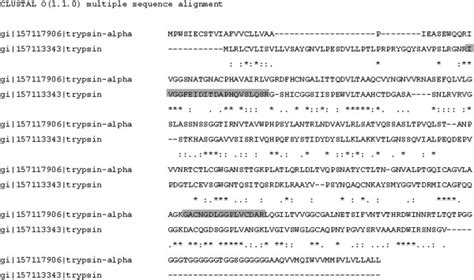 Sequence Alignment Of Trypsin Alpha And Trypsin Genes Detected In The