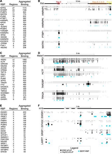 Frontiers Predicting Conserved Functional Interactions For Long Noncoding RNAs Via Deep Learning