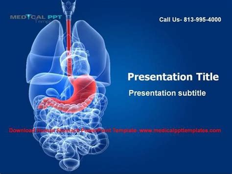 20 Powerpoint Templates Ideas Powerpoint Templates Powerpoint Templates