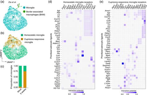 Deciphering The Crosstalk Propensity Between Reactive Astrocytes And Download Scientific