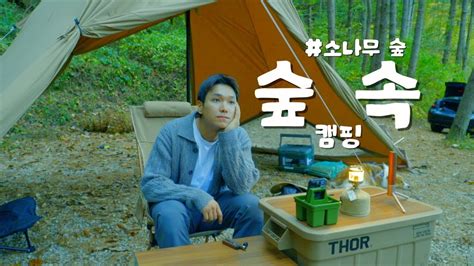 4k 숲속에서 하룻밤🌳 솔로캠핑 경기도가평 노지같은 캠핑장 소개 애견동반캠핑 Solocamping I 캠핑브이로그 ㅣ돼지고기 김치찌개 먹방 Youtube