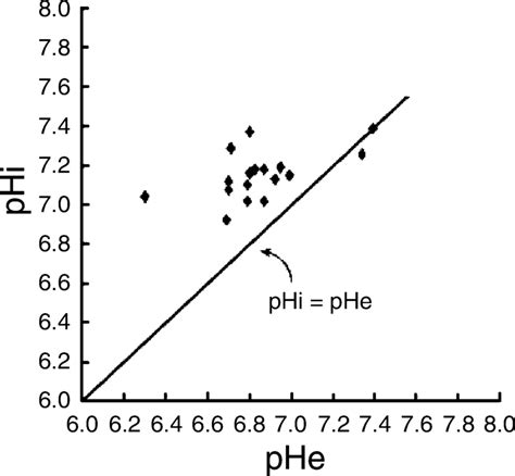 The Relationship Between Extracellular Ph Phe And Intracellular Ph
