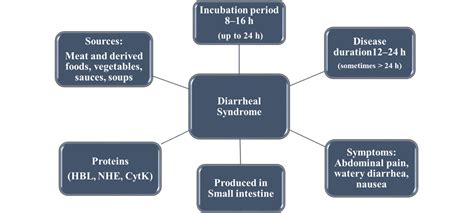 Bacillus Cereus A Common Culprit In Foodborne Illnesses Science Helix
