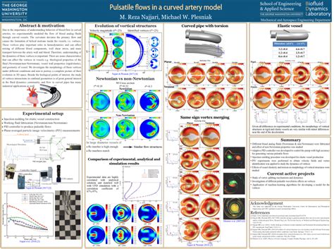 Pdf Pulsatile Flows In A Curved Artery Model
