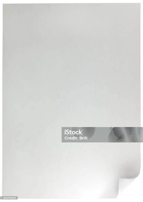 화이트 페이지 컬 배경 큰 세부 A4 빈 빈 격리 된 수직 용지 시트 복사 공간 매크로 근접 촬영 부드러운 모서리 그림자 0명에 대한 스톡 사진 및 기타 이미지 Istock