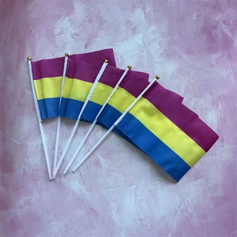 Mini Pansexual Flag Rainbow Flag Pansexual Flag Gaypride Etsy