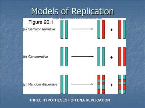 Ppt Replication Powerpoint Presentation Free Download Id263871