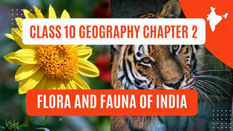 Class 10 Geography Chapter 2 Flora And Fauna Of India Geographical
