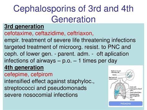 Ppt Bronchopneumonia Powerpoint Presentation Free Download Id3563836