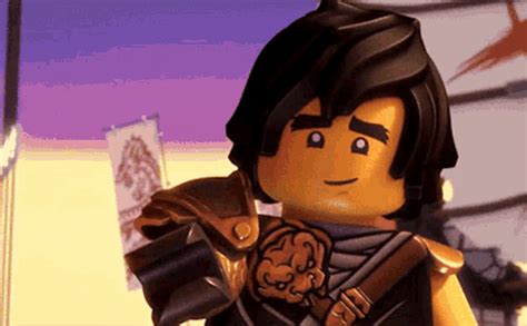 Lego Ninjago  Lego Ninjago Cole Discover And Share S