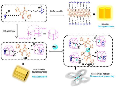 Pillar N Arene Based Supramolecular Polymers Encyclopedia Mdpi