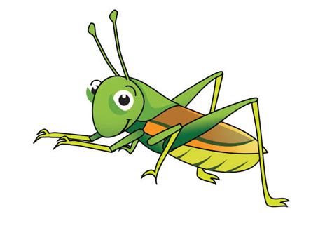 110 Grasshopper Toy Stock Illustrations Royalty Free Vector Graphics And Clip Art Istock