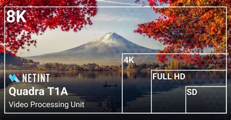 Netint Technologies Inc On Linkedin Videoprocessing