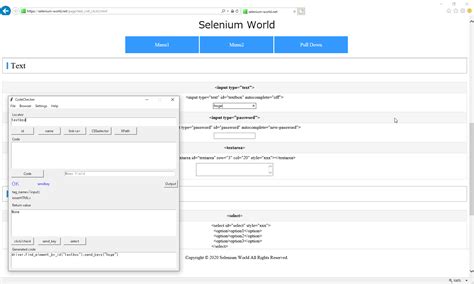 how selenium works input exceptions 5 ie selenium world