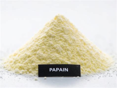 Buy Papain Factory Supply Bulk Price Low Moq Gss