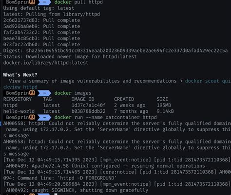 Docker 2 Cli