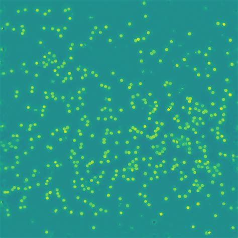Fig 6 Complex Fields Imaging Compared To Back Propagation Bp