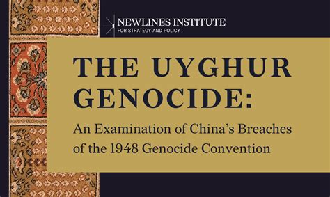newlines institute report east turkistan government in exile