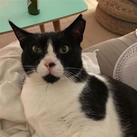 From List To Immutable Hierarchy Tree With Scala By Tomer Sela Hibob Engineering