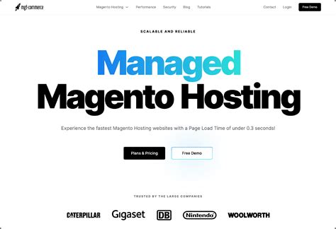 Top Magento 2 Hosting Nederland Providers