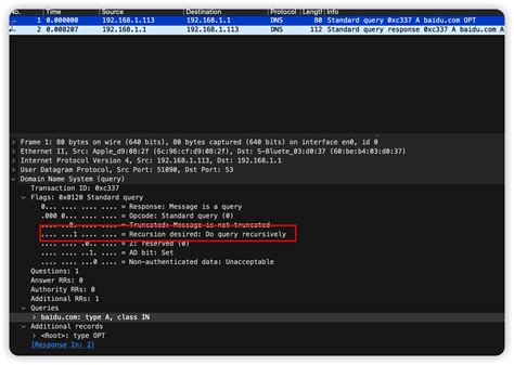 深入探究dns流程与报文 coders work