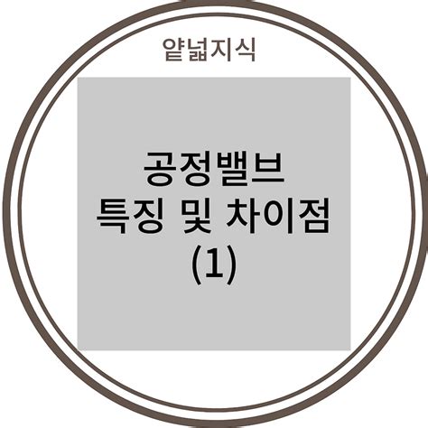 공정 밸브의 특징과 차이점 볼 버터플라이 플러그 게이트 글로브 핀치 니들 다이아프램 밸브