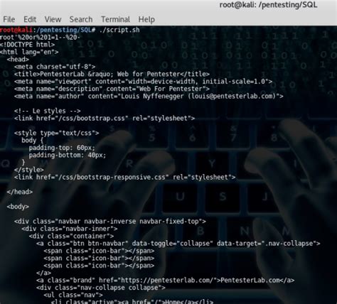 Cómo Crear Un Script Para Pruebas De Sql Injection Jaymon Security