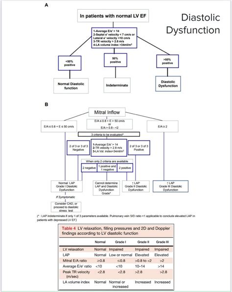 Noura Nasser Aloumi On Linkedin Diastolic Dysfunction Very Important