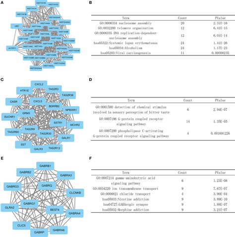 Top Three Modules From The Ppi Network Ab Ppi Network And Go And Download Scientific