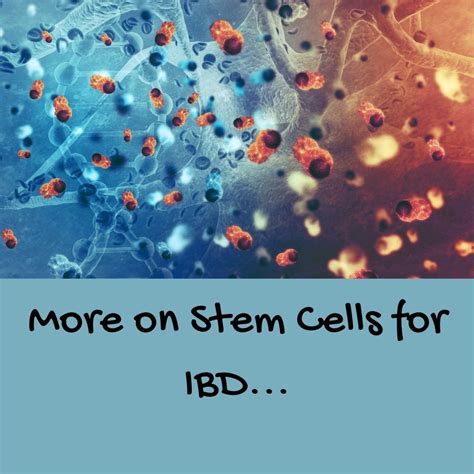 Can Stem Cells Heal The Gut The New Frontier In Ibd Treatment