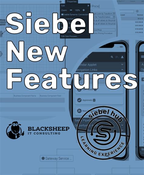 siebel crm training the siebel hub