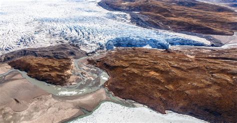 Which Biome Is Found Near The Polar Ice Caps Build A Stash
