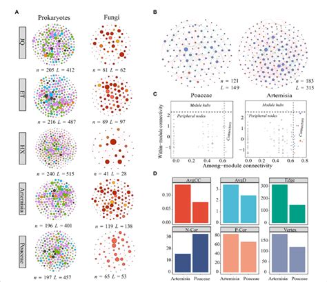 A Co Occurrence Network Of Prokaryotic And Fungal Communities Across