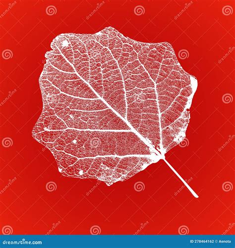 Vector Set Of Aspen Tree 247784817