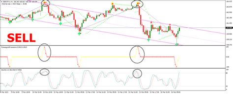 Forex Signal 30 The Forex Geek