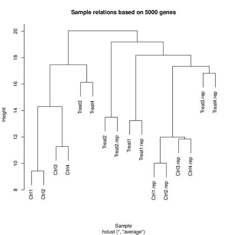Overall Sample Relations Shown As A Hierarchical Tree Download