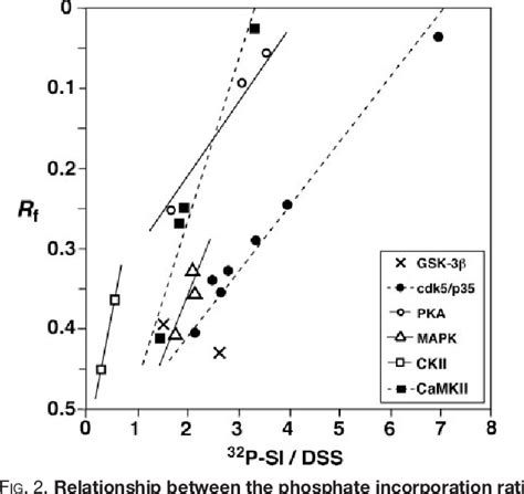 Figure 2 From Label Free Kinase Profiling Using Phosphate Affinity Polyacrylamide Gel