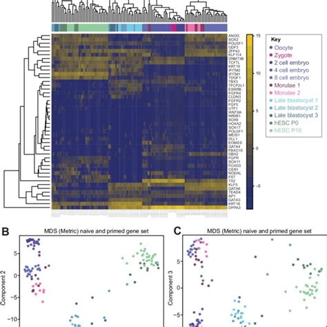 Heat Map Of Hierarchical Cluster Analysis A And Principal Component