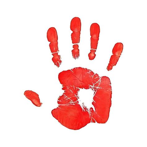 Andrija Stojkovic On Reels Facebook