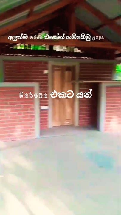 කැලේ ඇතුලේ Kabana එක ගියා විඩියෝ එක ලගදීම Minivlog Youtube