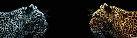 400 Dual Wallpaper KOSTENLOS Wallpapers Com