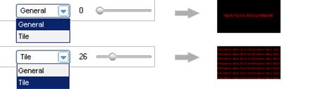 Overview Text Watermark Interface