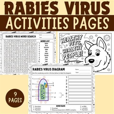 Rabies Virus Structure Learn About Rabies With Diagram Anatomy