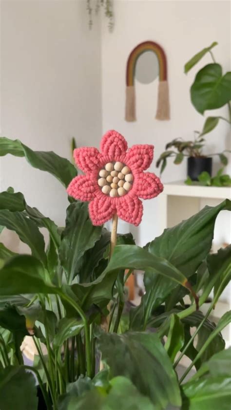 900 macrame ideas in 2025 macrame macrame patterns macrame diy