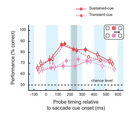 Probe Discrimination Performance At The Cue Location Before And After Download Scientific